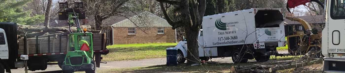 Tree Service Quote - Indianapolis Tree Service Quote