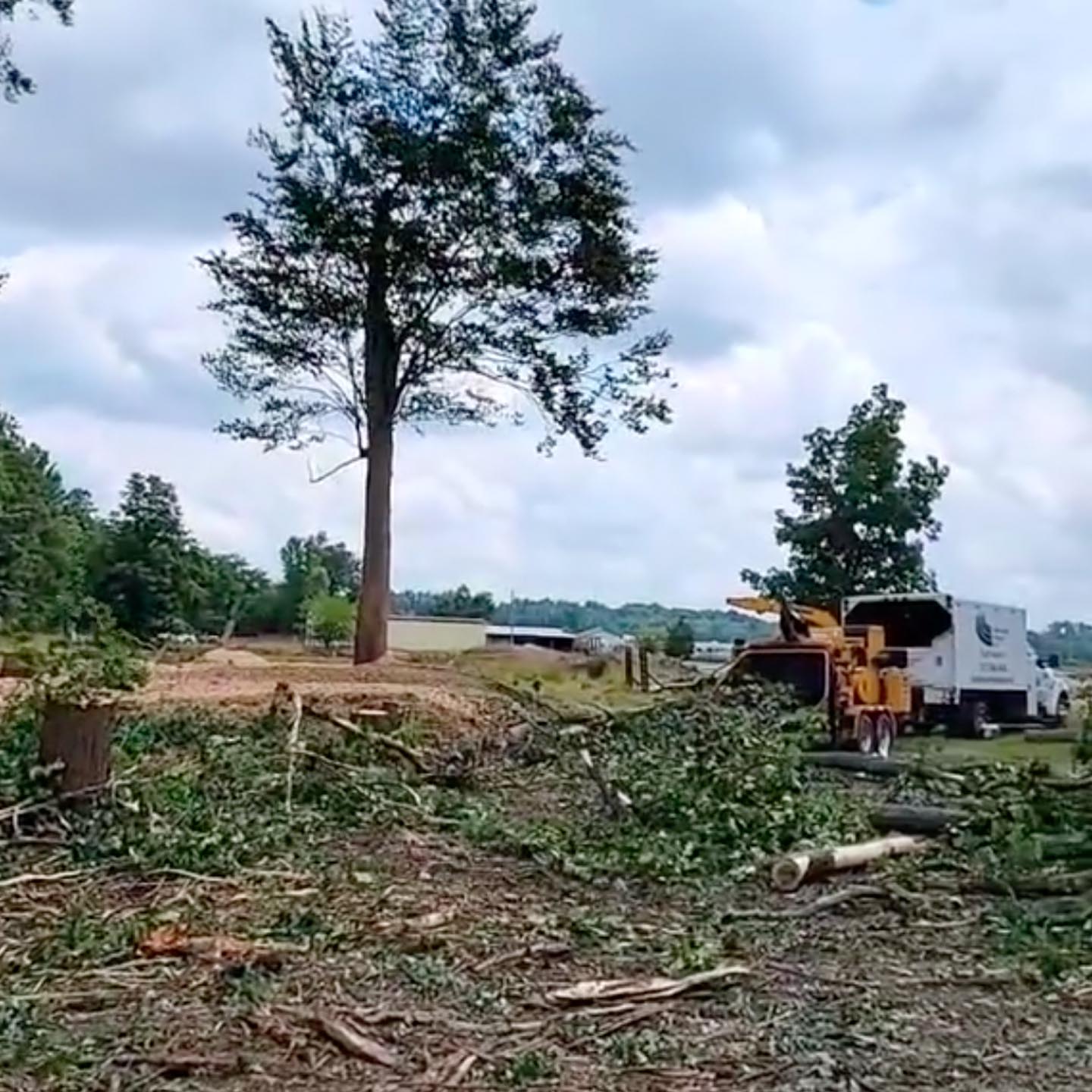 Tree Service and Removal Company. Servicing Indianapolis Area