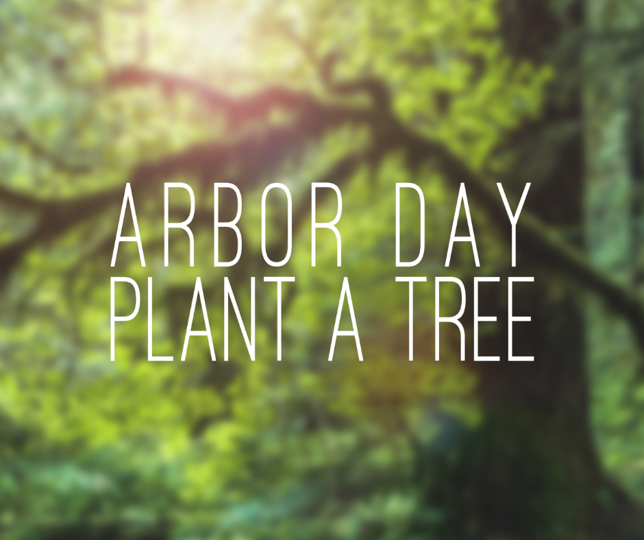 Celebrating Arbor Day - Earthworks Outdoor